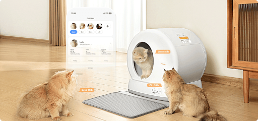 EAMS Case Search - What It Is and How It Works